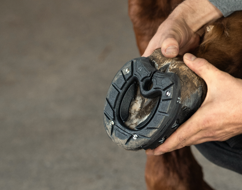 Goodsmith Klebebeschläge und Hufschuhe